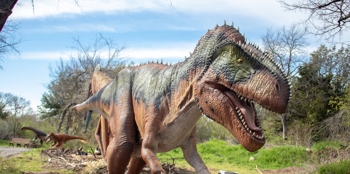 Dallas Zoo | Explore the Wonders of the Largest Zoo in Texas