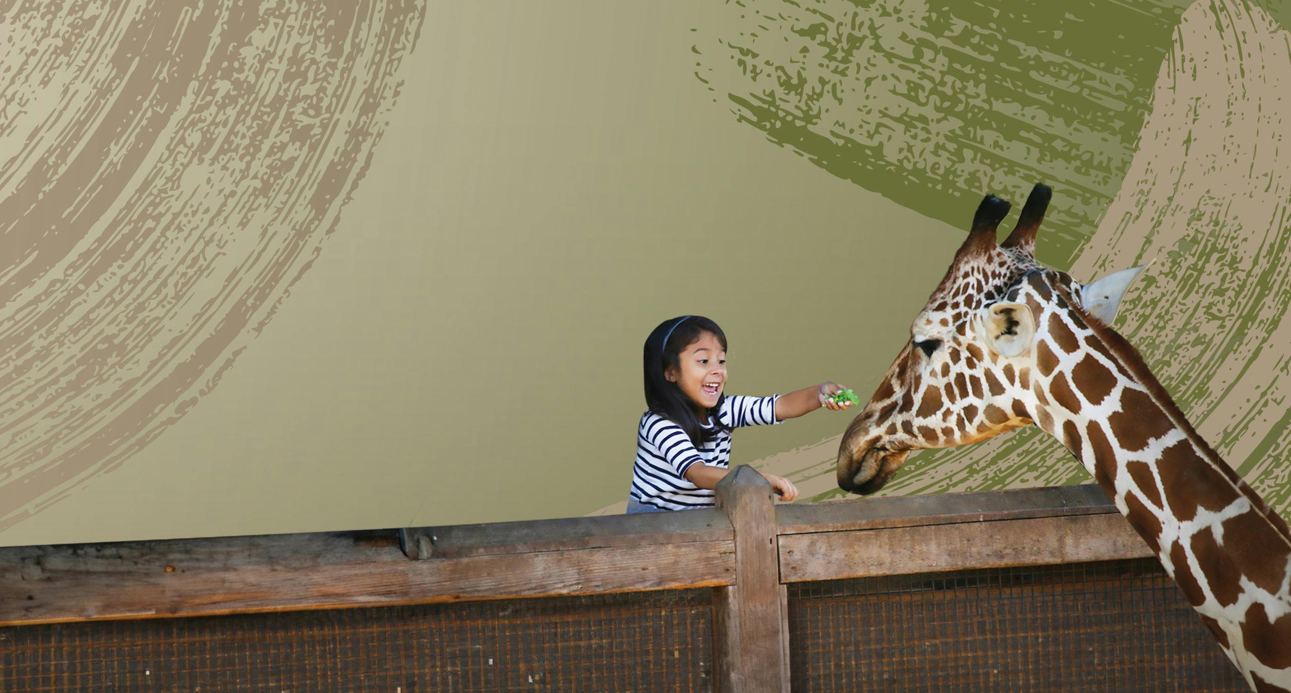 Dallas Zoo | Zoo in Dallas, Texas