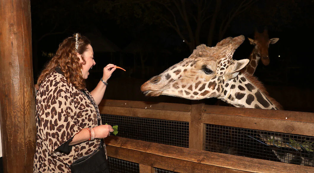 Dallas Zoo | Zoo in Dallas, Texas