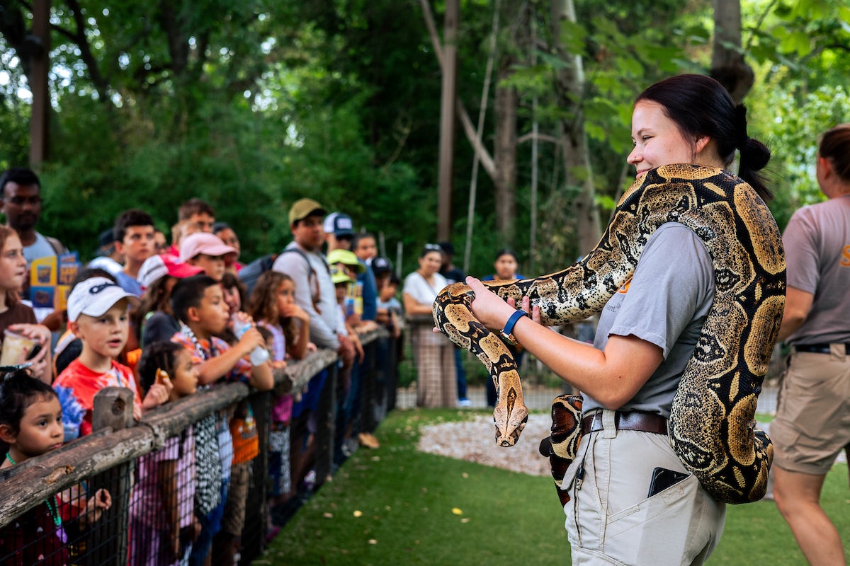 Dallas Zoo | Explore the Wonders of the Largest Zoo in Texas