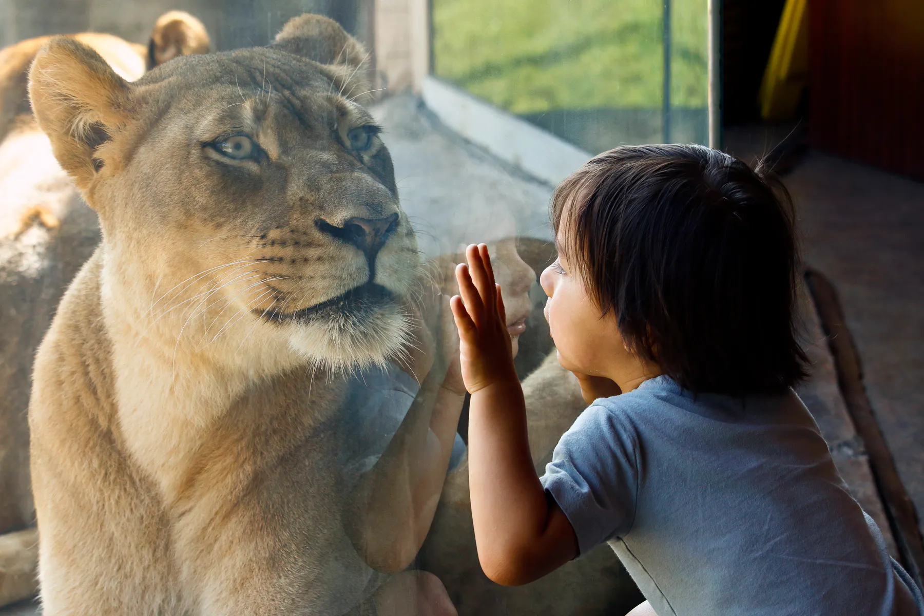 Dallas Zoo Events