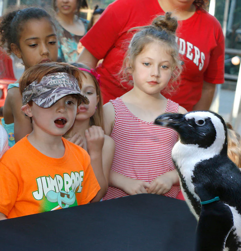 Dallas Zoo | Welcome to the Largest Zoological Experience in Texas!
