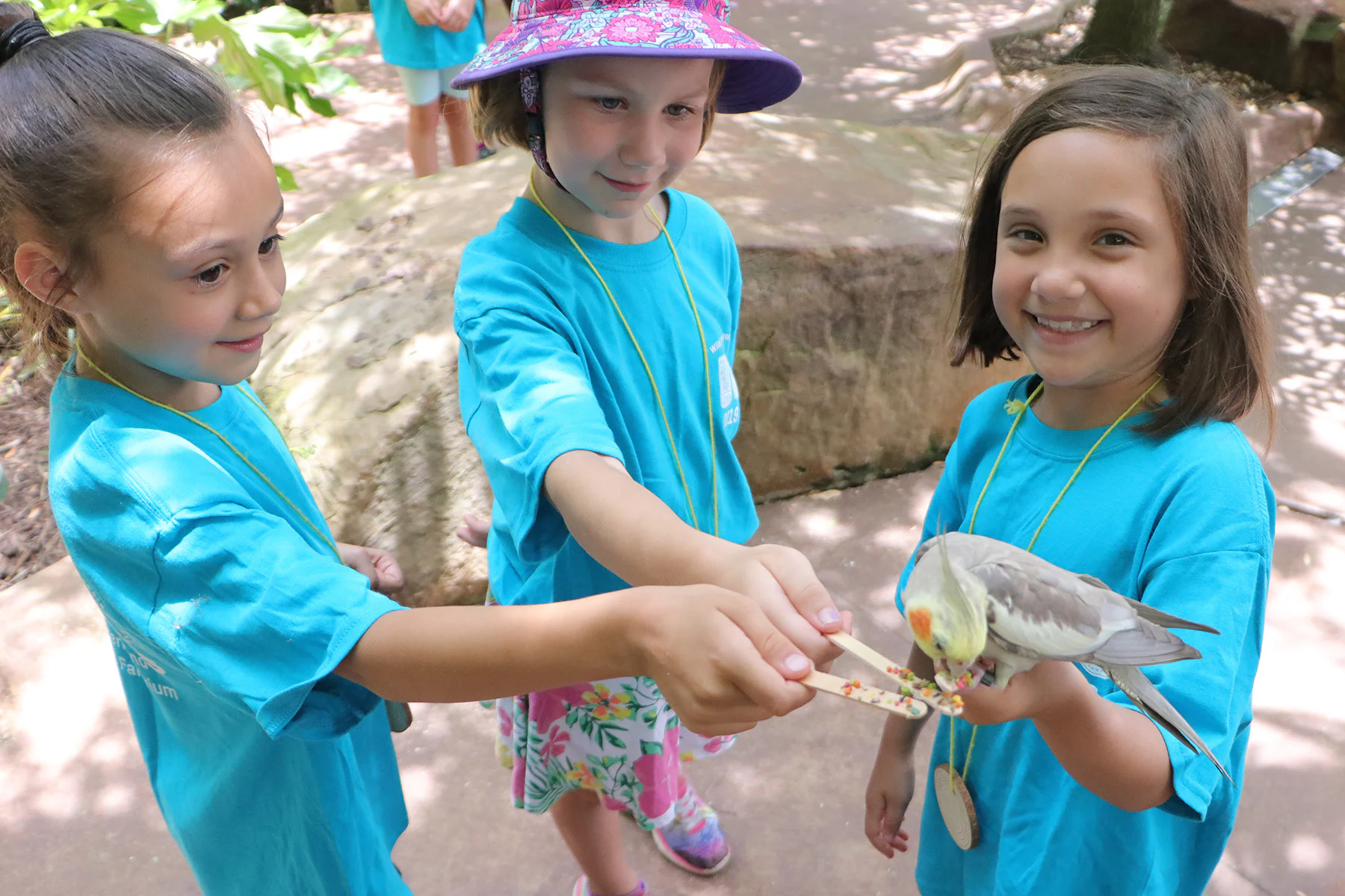 Dallas Zoo | Welcome to the Largest Zoological Experience in Texas!