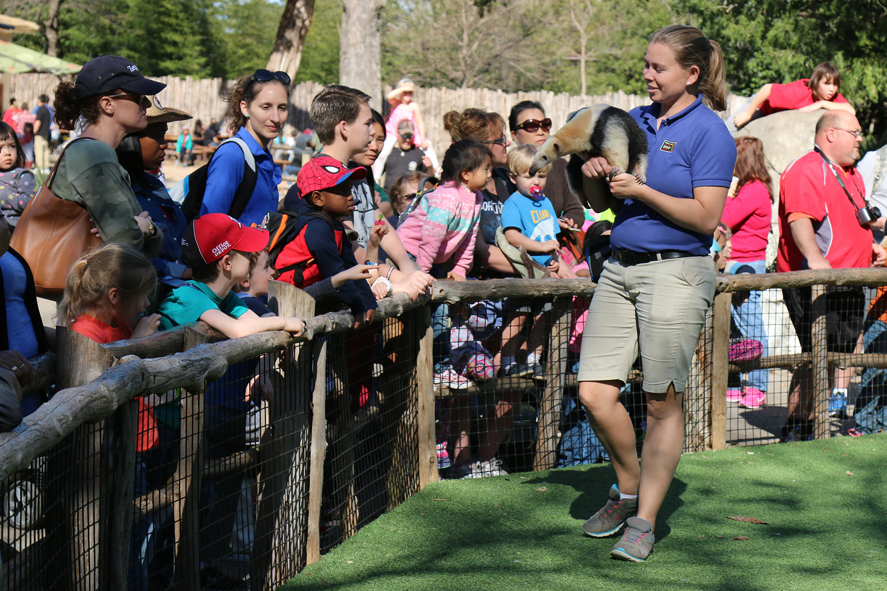 Encounters & Experiences at Dallas Zoo