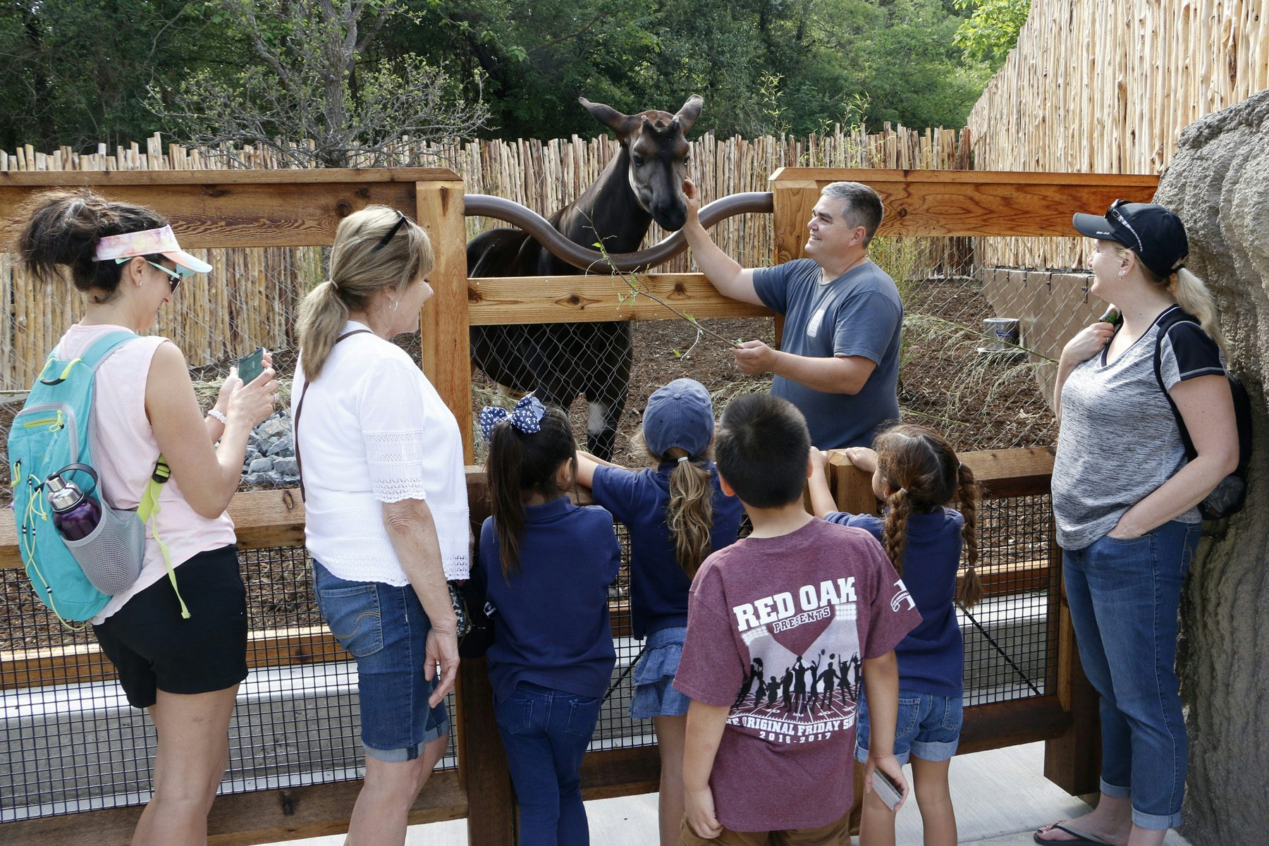 Keeper Chats | Dallas Zoo