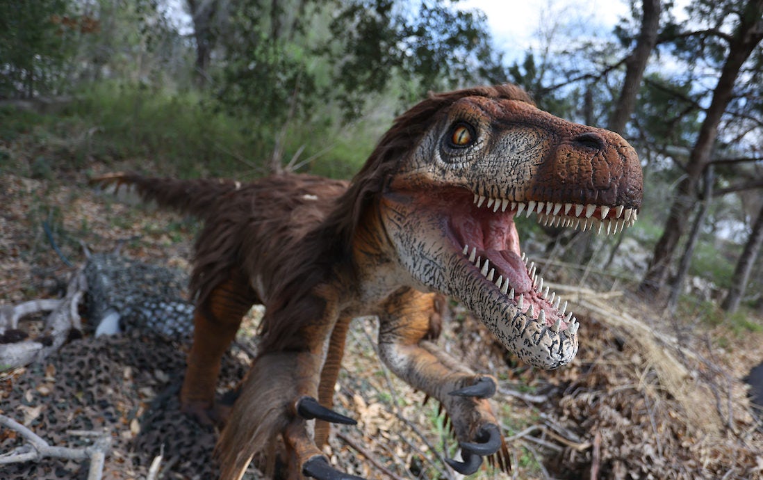 Dallas Zoo | Welcome to the Largest Zoological Experience in Texas!