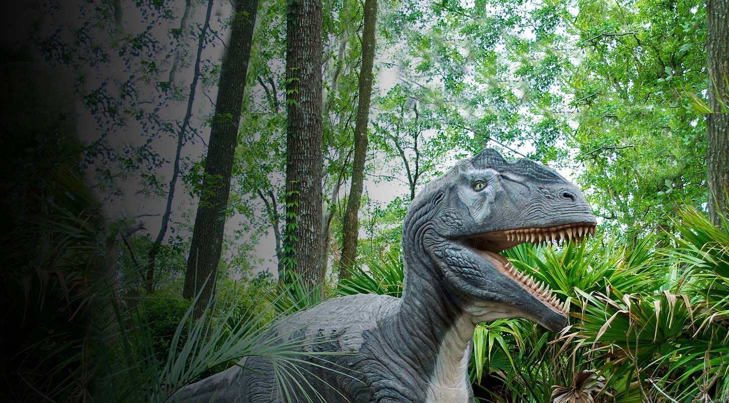 Dallas Zoo | Welcome to the Largest Zoological Experience in Texas!