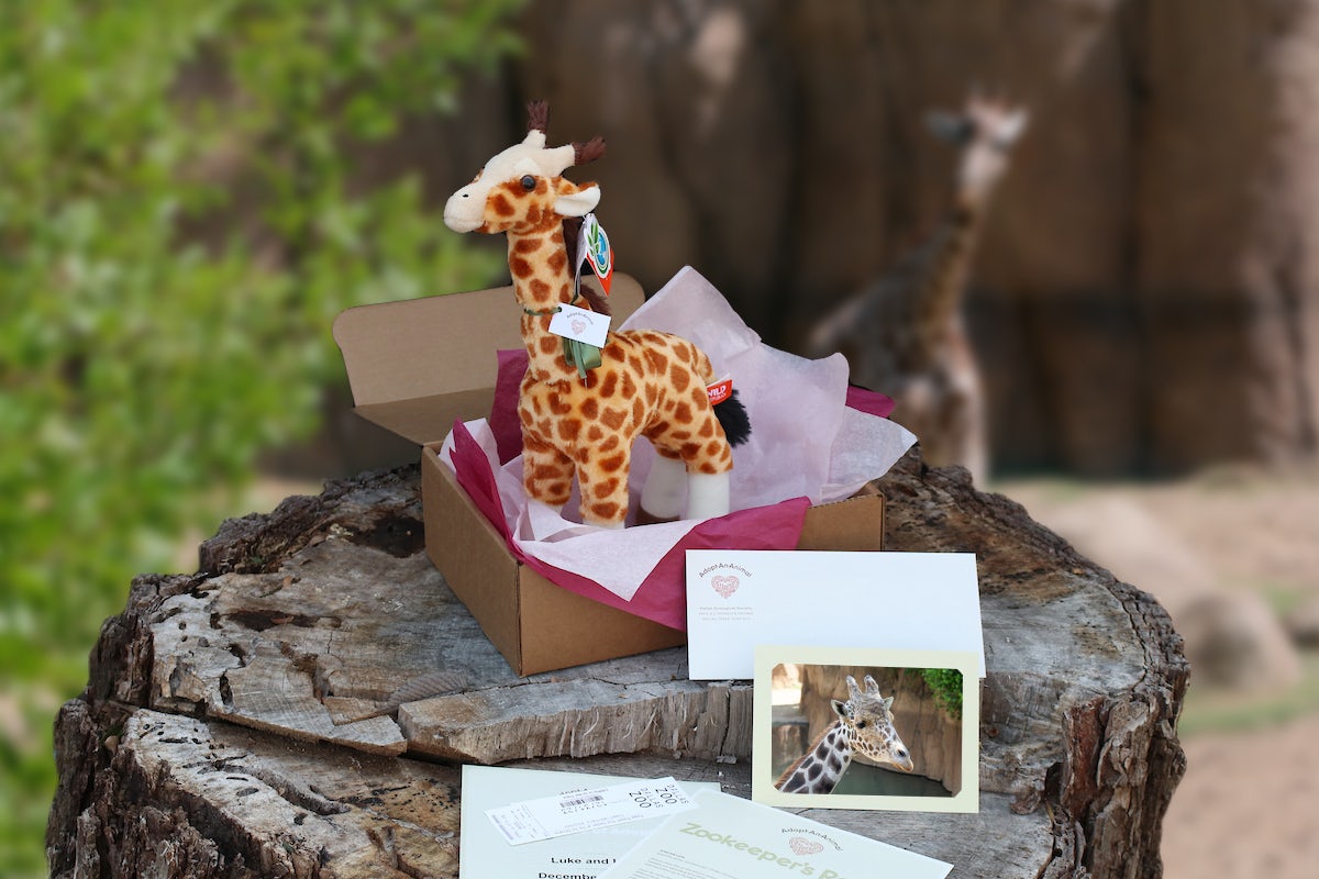 Dallas Zoo | Zoo in Dallas, Texas