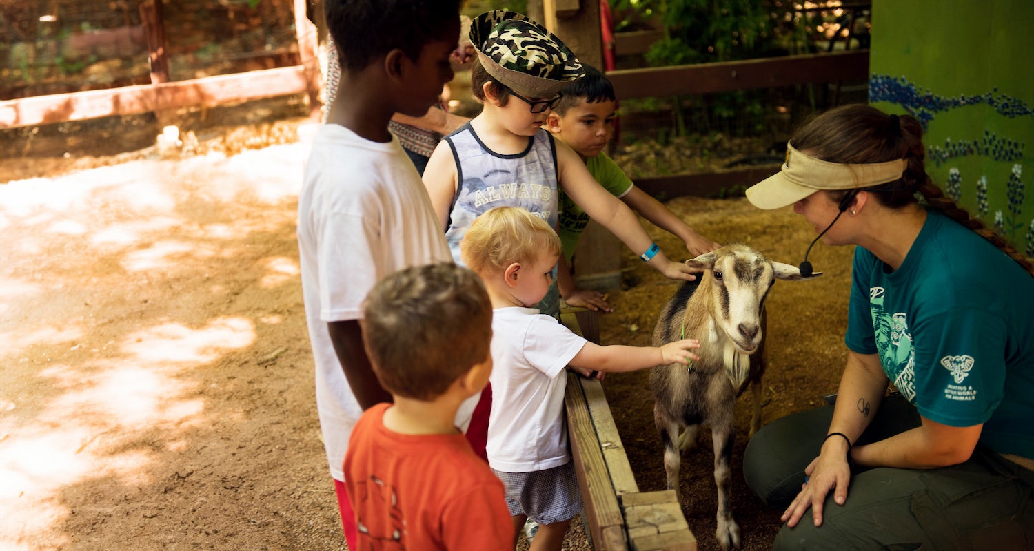 Dallas Zoo | Welcome to the Largest Zoological Experience in Texas!