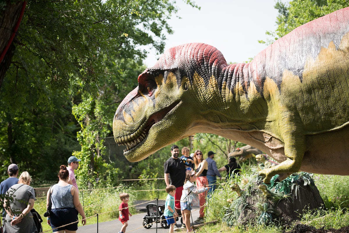 Dallas Zoo | Zoo in Dallas, Texas