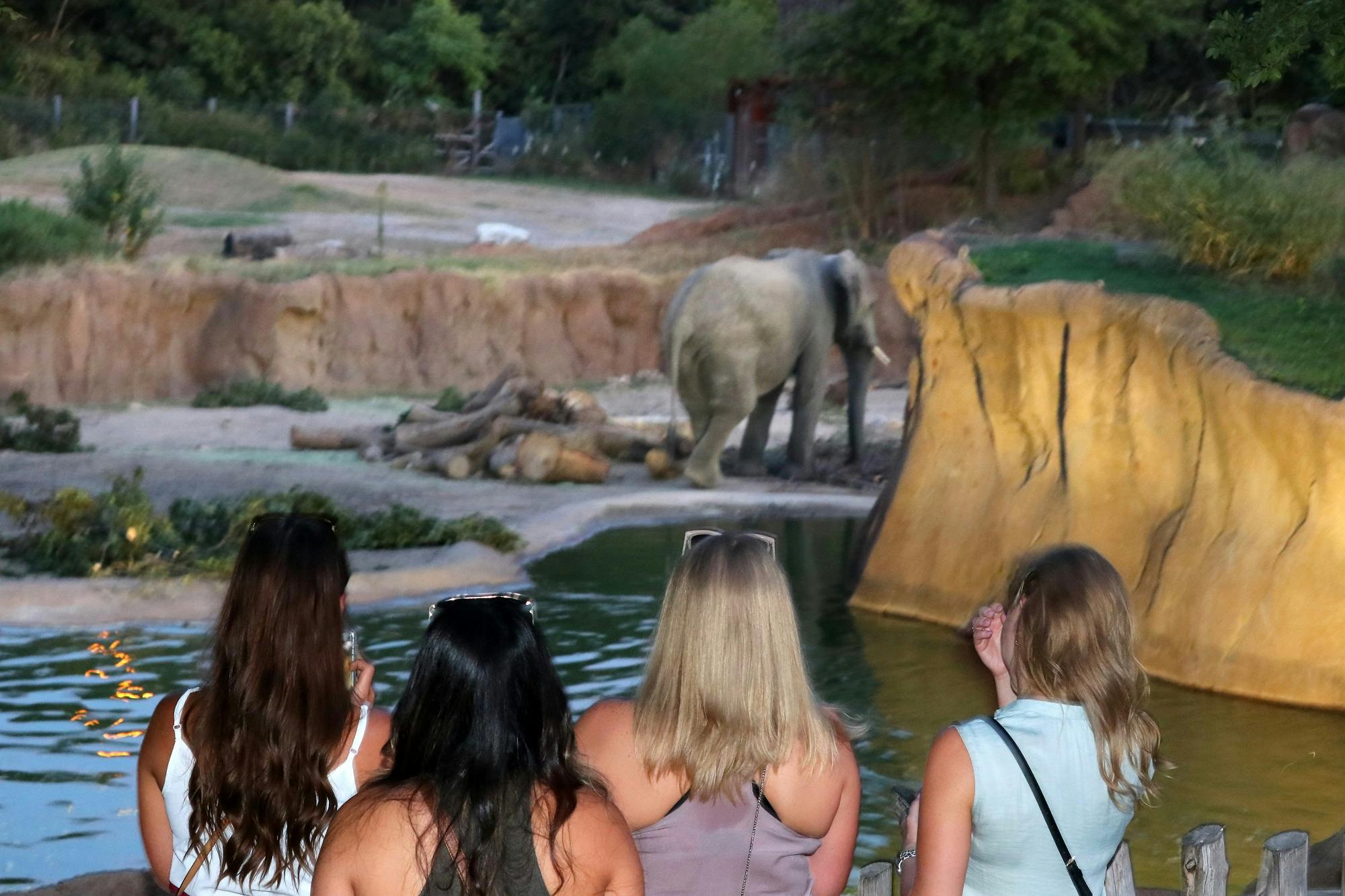 General Information | Dallas Zoo