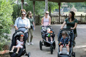Dallas Zoo Programs