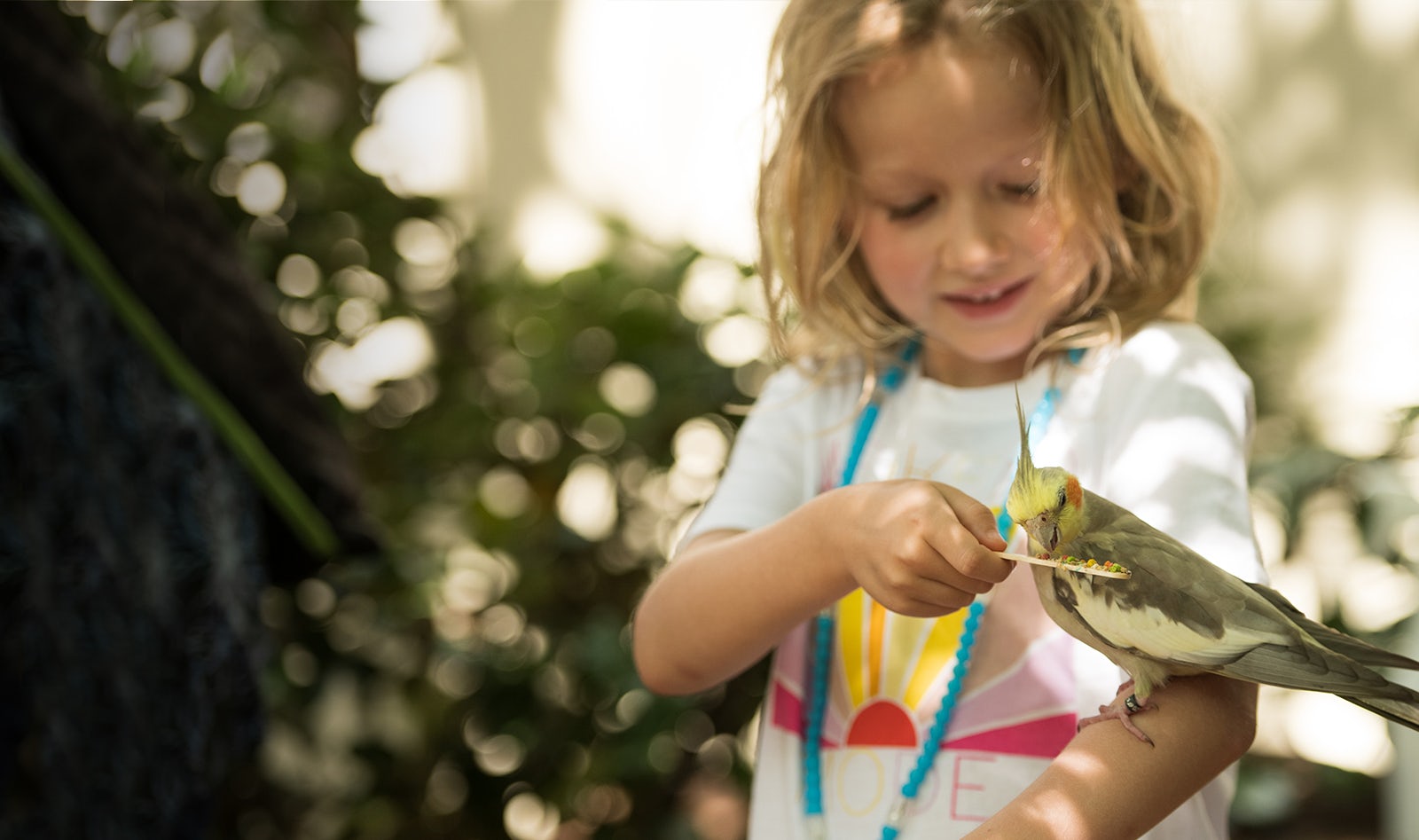 Dallas Zoo | Welcome to the Largest Zoological Experience in Texas!