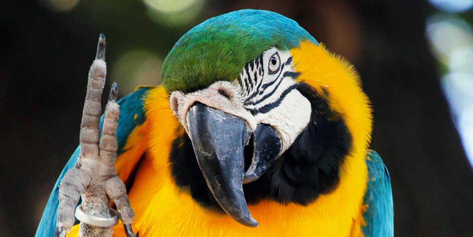 Dallas Zoo | Welcome to the Largest Zoological Experience in Texas!