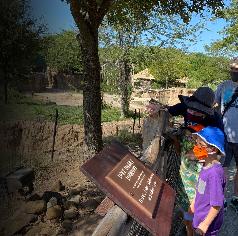 Dallas Zoo | Welcome to the Largest Zoological Experience in Texas!