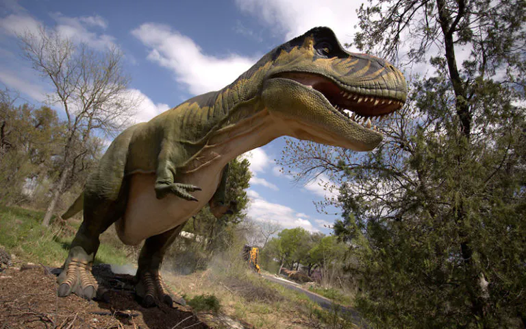 Events at the Dallas Zoo