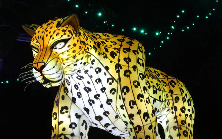 Events at the Dallas Zoo