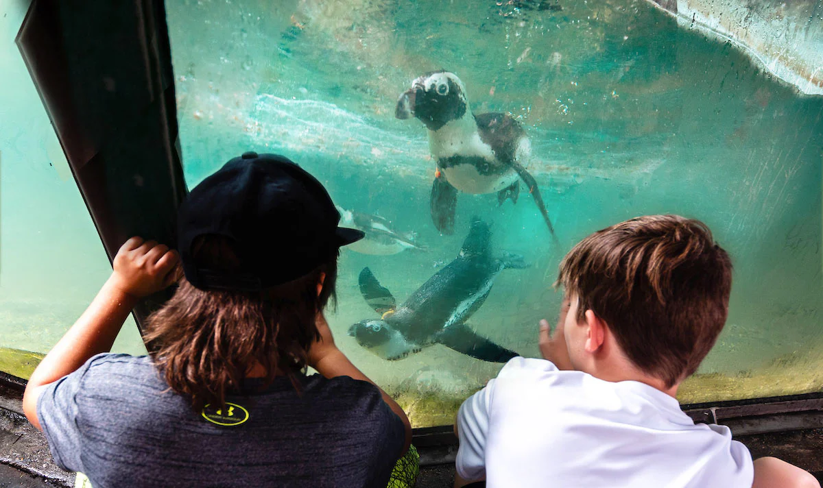 Education Programs | Dallas Zoo