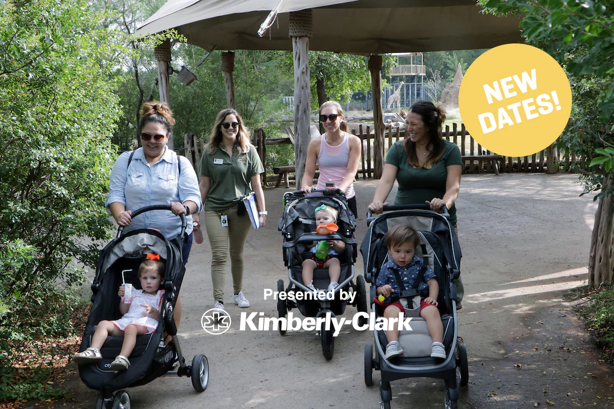 Education Programs | Dallas Zoo
