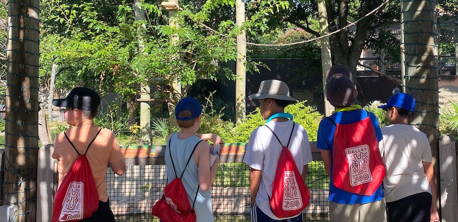 Summer Camp 2025 - Week-long | Dallas Zoo