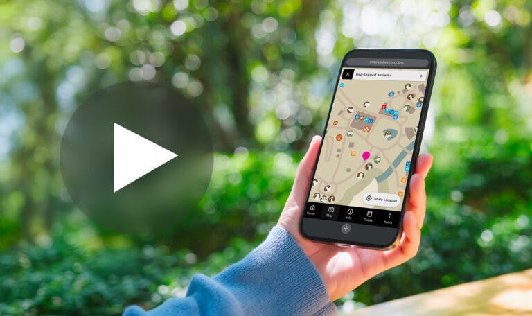 Dallas Zoo Map | Dallas Zoo