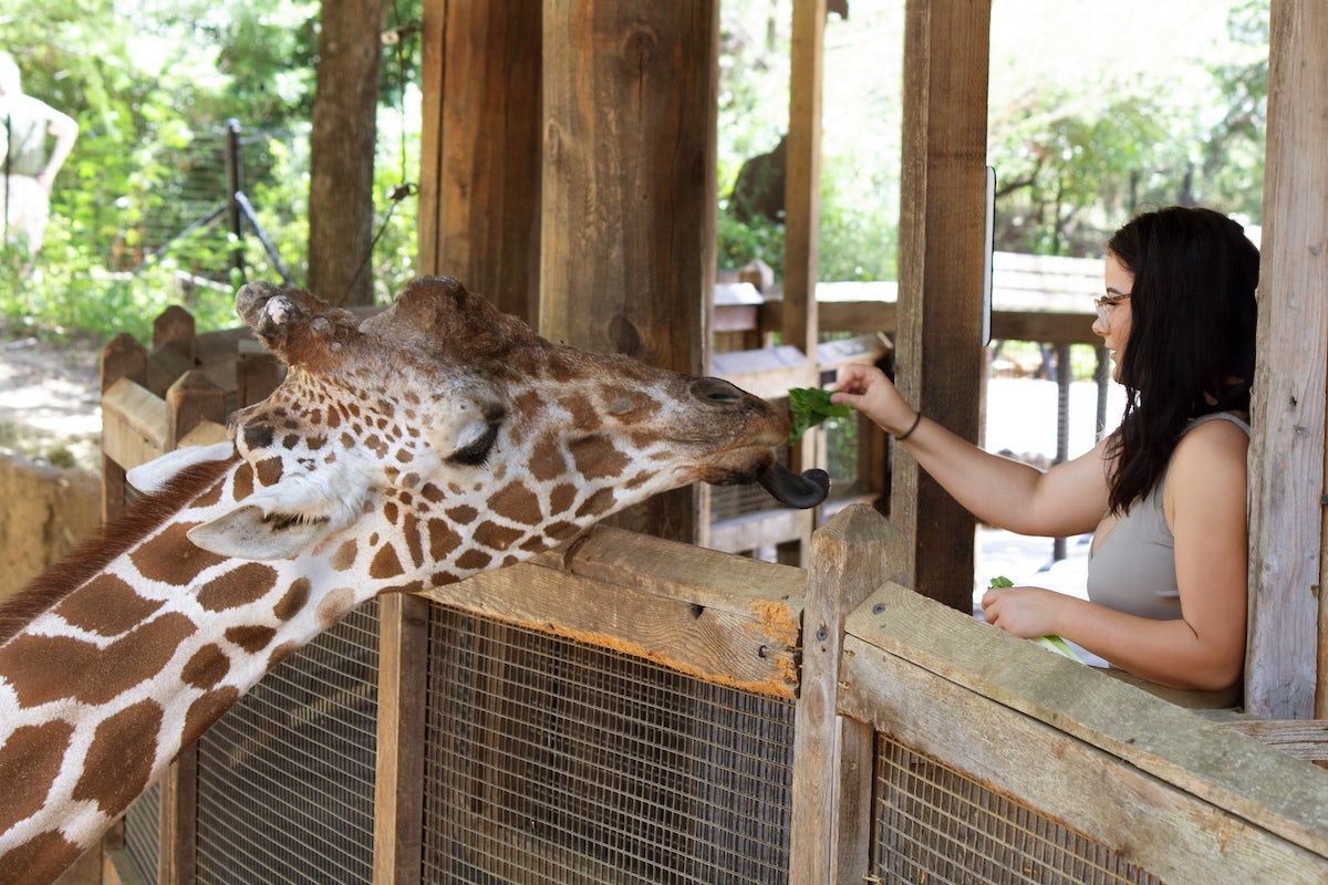 Dallas Zoo | Zoo in Dallas, Texas