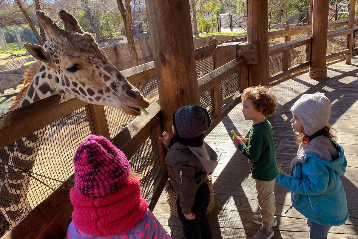 Dallas Zoo Programs